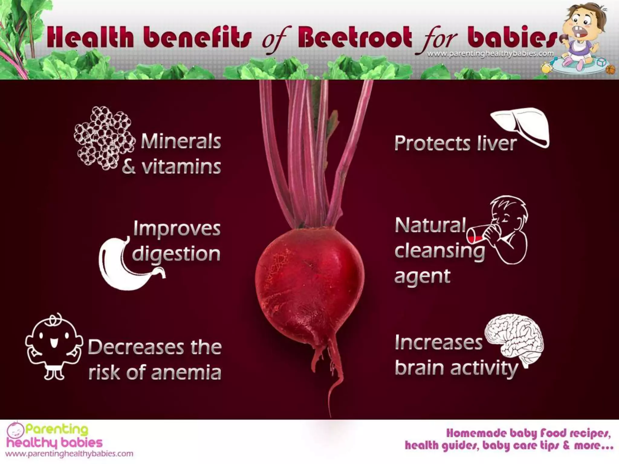 Beet root | PPTX