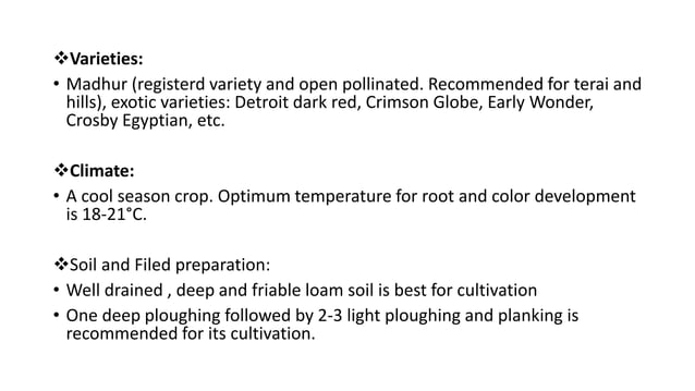 Beet root.pptx | Agriculture | Industries