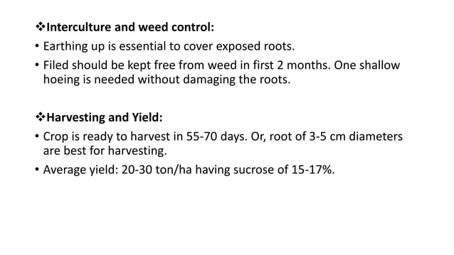 Beet root.pptx | Agriculture | Industries
