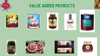 beet root 2.pdf breeding uses types pest sowing method harvesting | PDF