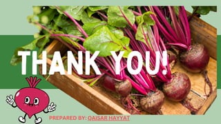 beet root 2.pdf breeding uses types pest sowing method harvesting | PDF