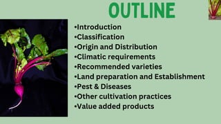 beet root 2.pdf breeding uses types pest sowing method harvesting | PDF