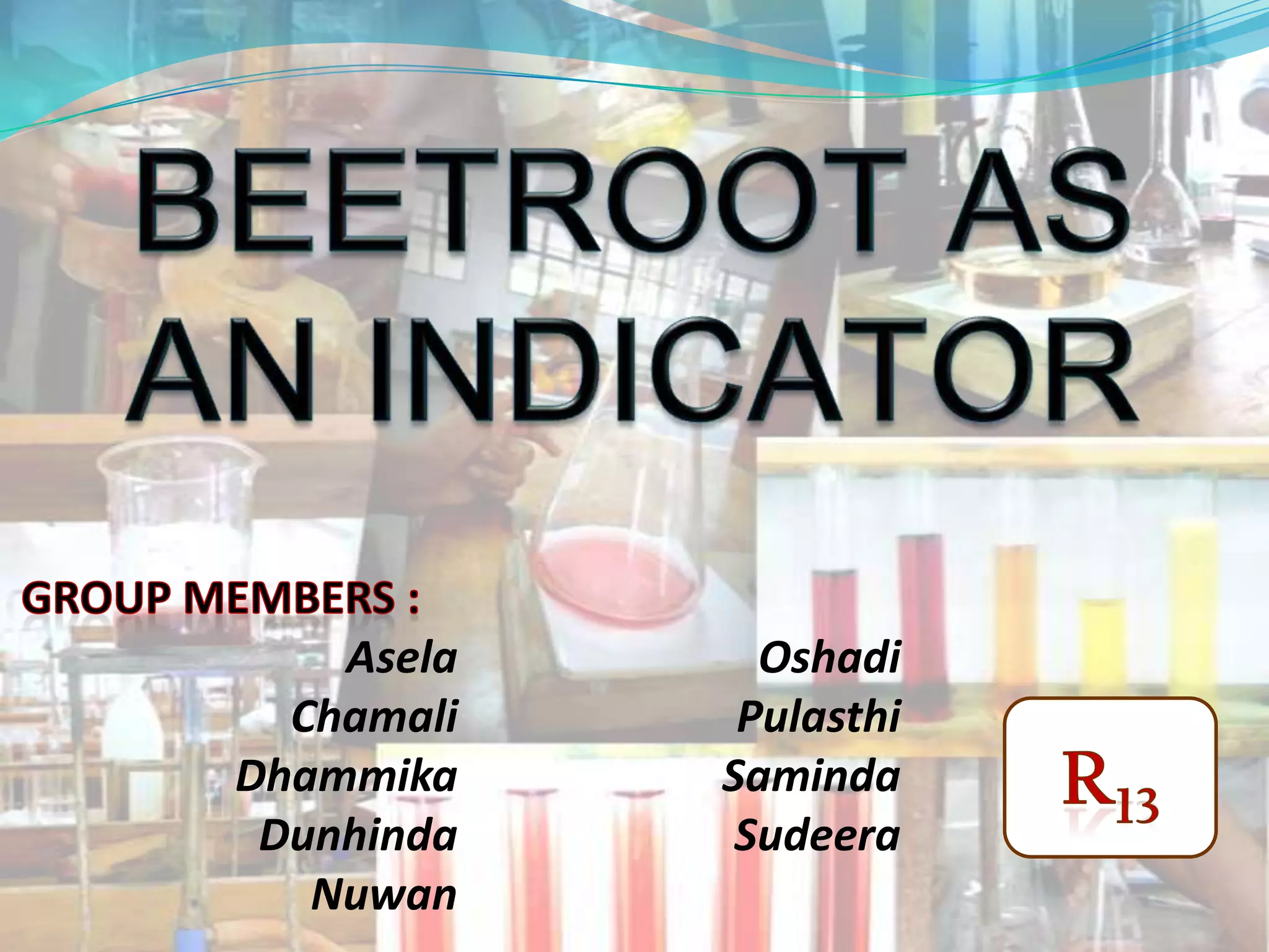 Beetroot as an indicator | PPTX