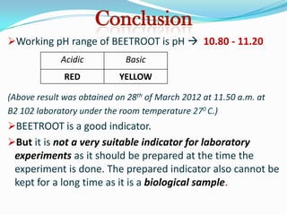 Beetroot as an indicator | PPTX