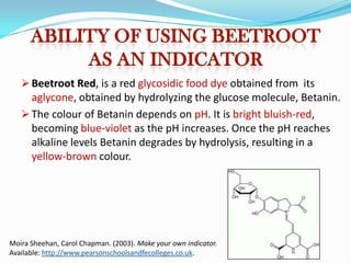 Beetroot as an indicator | PPTX