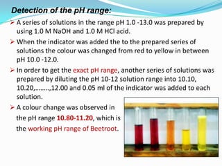 Beetroot as an indicator | PPTX