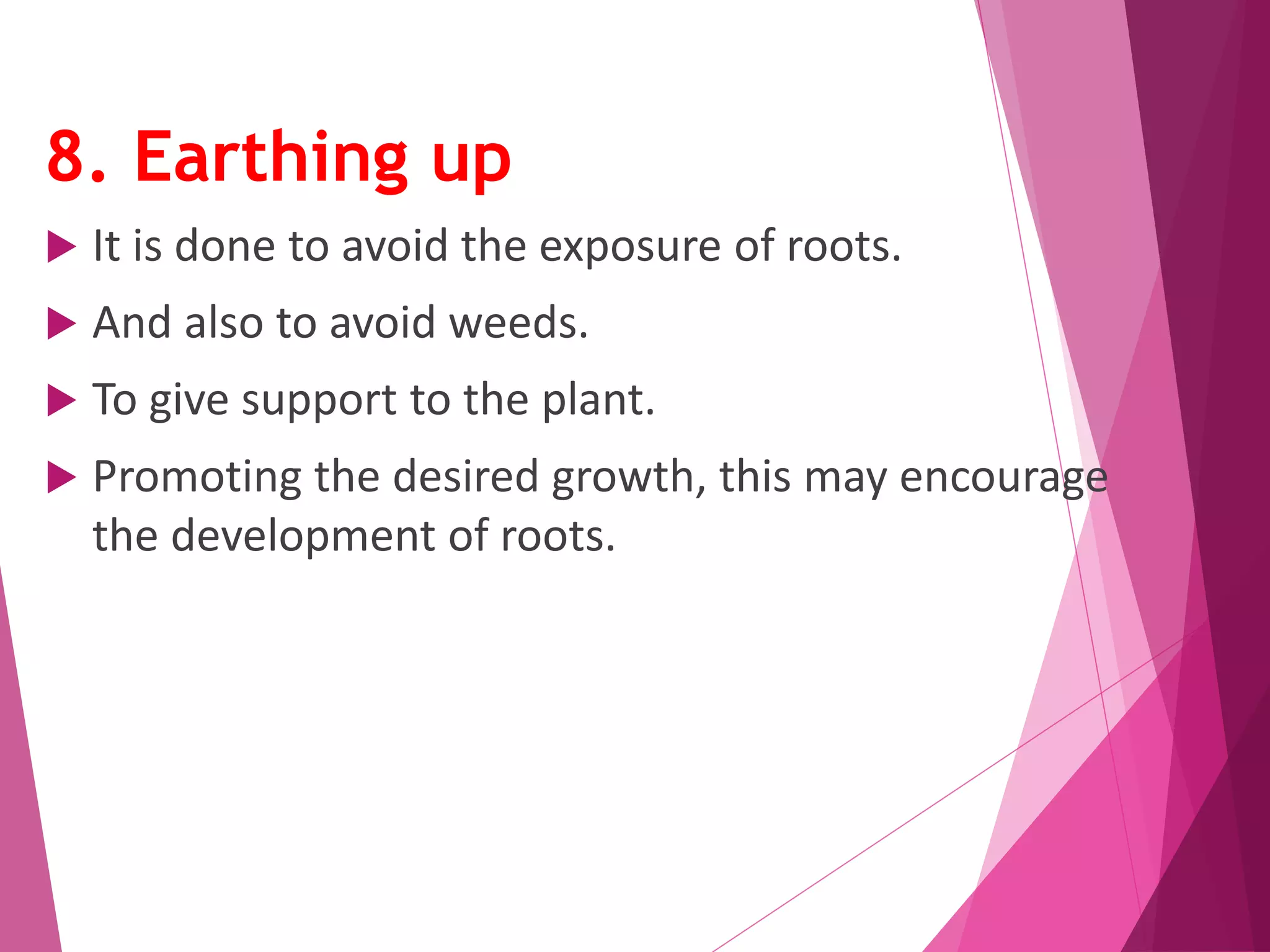 Beetroot ppt | PPTX