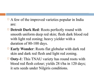 PRODUCTION TECHNOLOGY OF BEETROOT | PPT