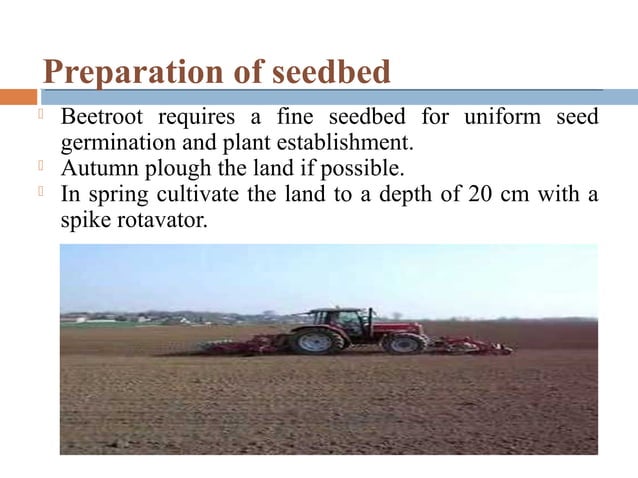 PRODUCTION TECHNOLOGY OF BEETROOT | PPT