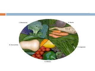 PRODUCTION TECHNOLOGY OF BEETROOT | PPT