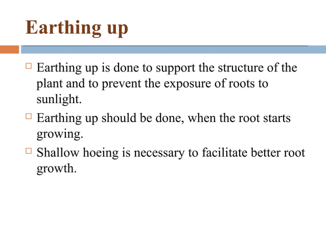 PRODUCTION TECHNOLOGY OF BEETROOT | PPT