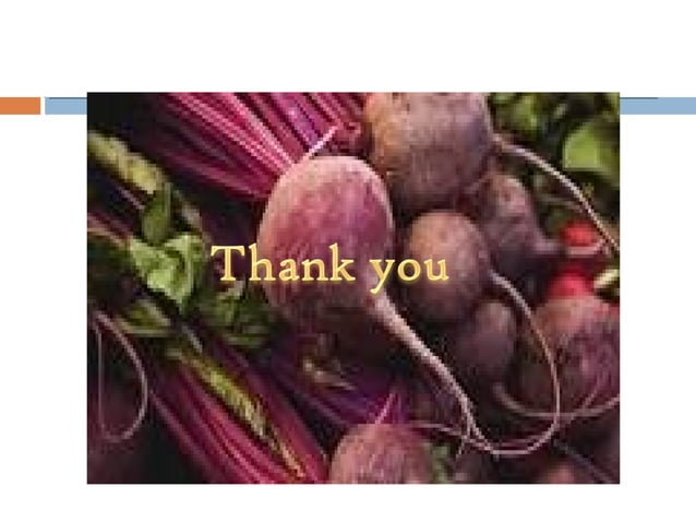 PRODUCTION TECHNOLOGY OF BEETROOT | PPT