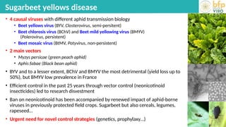 Beet viruses Aussois Thierry Candresse 2025 | PPTX