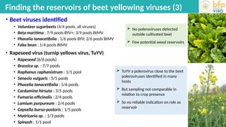 Beet viruses Aussois Thierry Candresse 2025 | PPTX