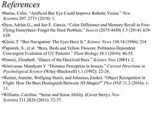 Bee vision | PPT