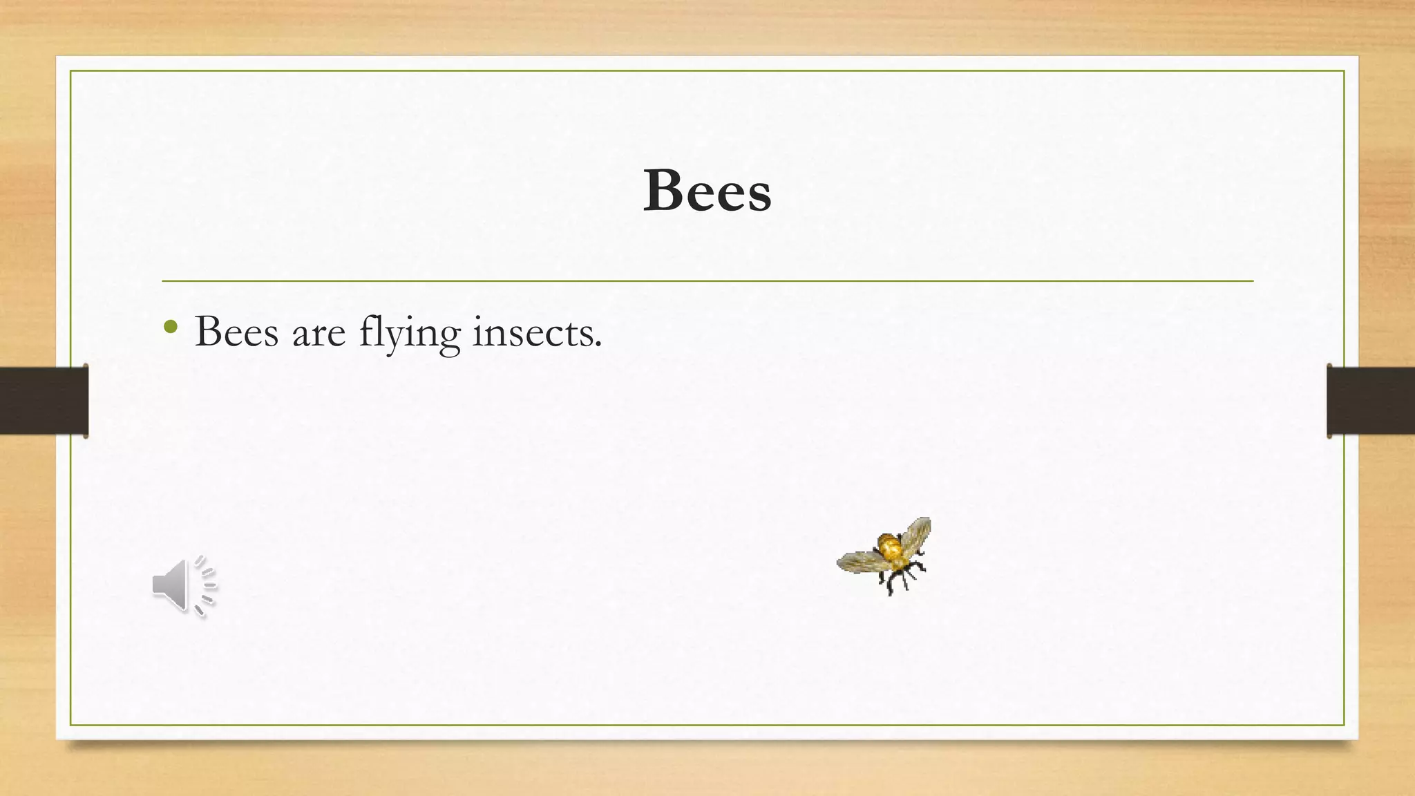 Bee vocabulary | PPTX