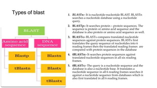 blast presentation beevragh muneer.pptx