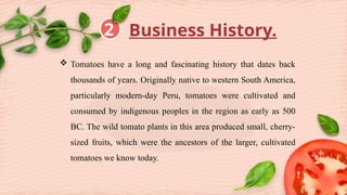 BEFAS Tomato Powder ppt,Students of UCC. | PPTX