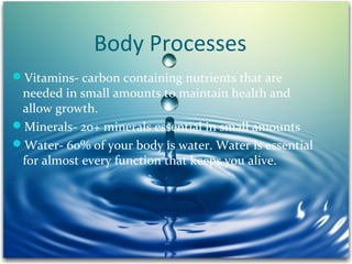 Nutrition PowerPoint | PPT