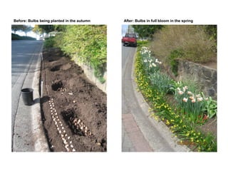 Before and after photos | PPT