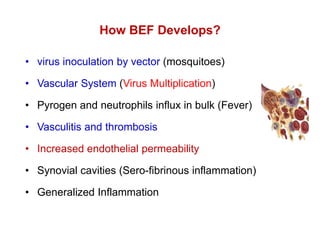 Bovine Ephemeral Fever (Three Day Sickness) | PPTX