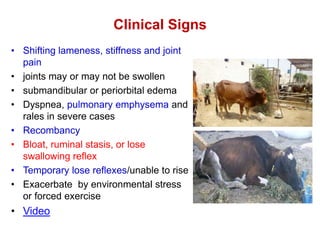 Bovine Ephemeral Fever (Three Day Sickness) | PPTX