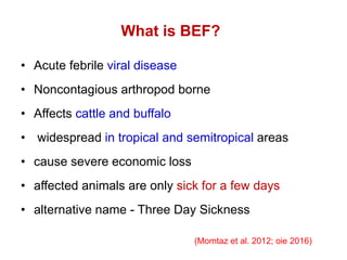 Bovine Ephemeral Fever (Three Day Sickness) | PPTX