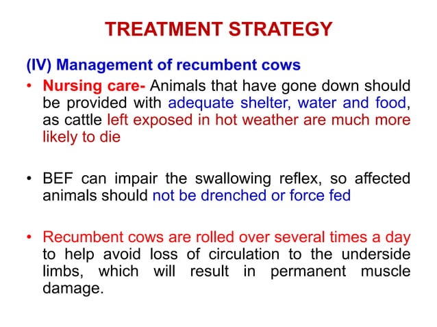 Bovine Ephemeral Fever (Three Day Sickness) | PPTX