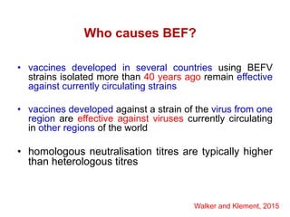 Bovine Ephemeral Fever (Three Day Sickness) | PPTX