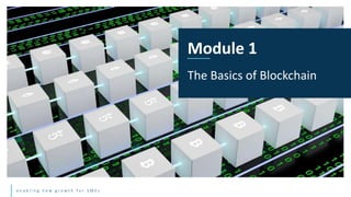 BEGIN BLOCKCHAIN - Module 1 FINAL.pptx | Internet for Beginners | Internet