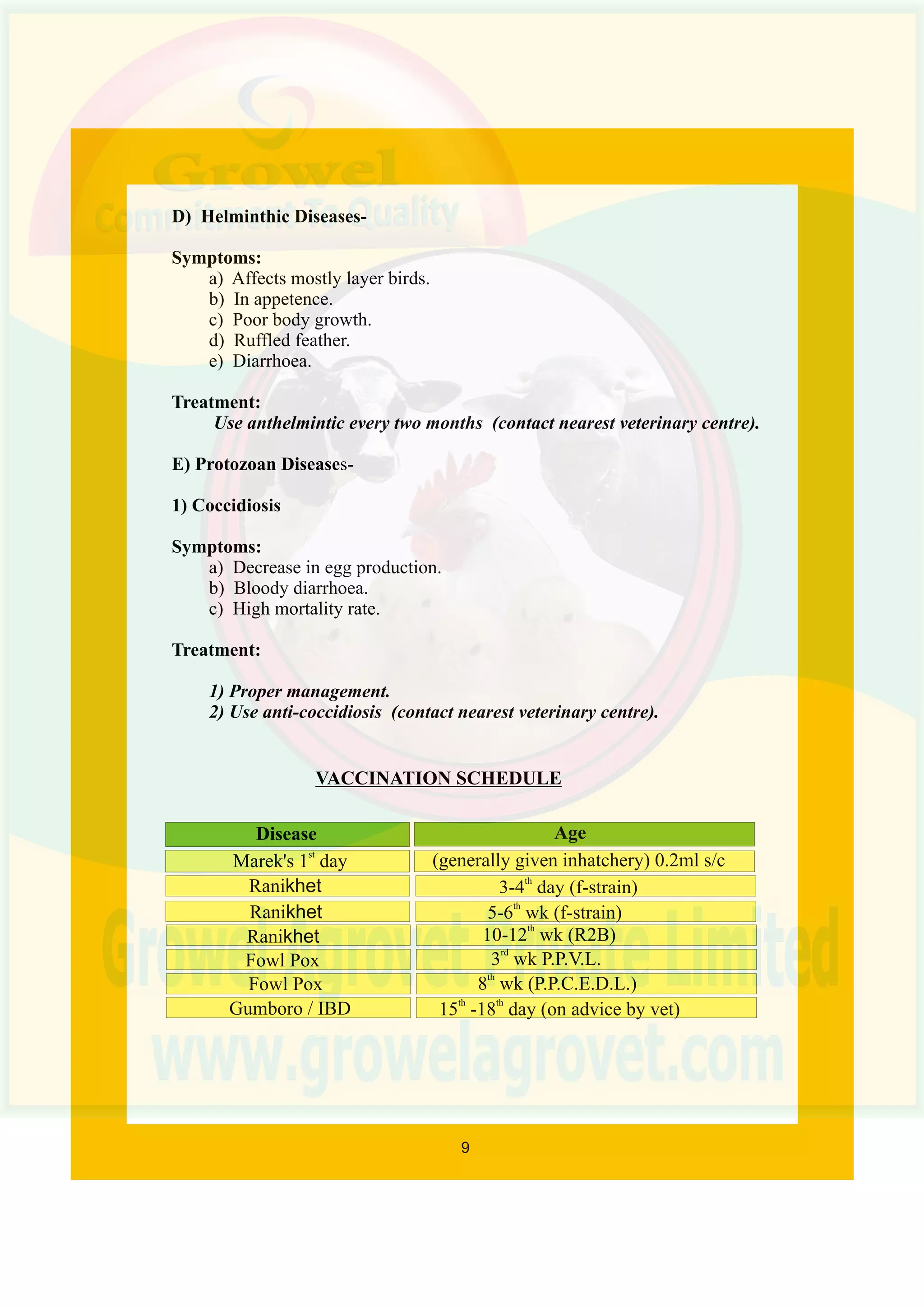 Beginners Guide to Layer Poultry Farming | PDF