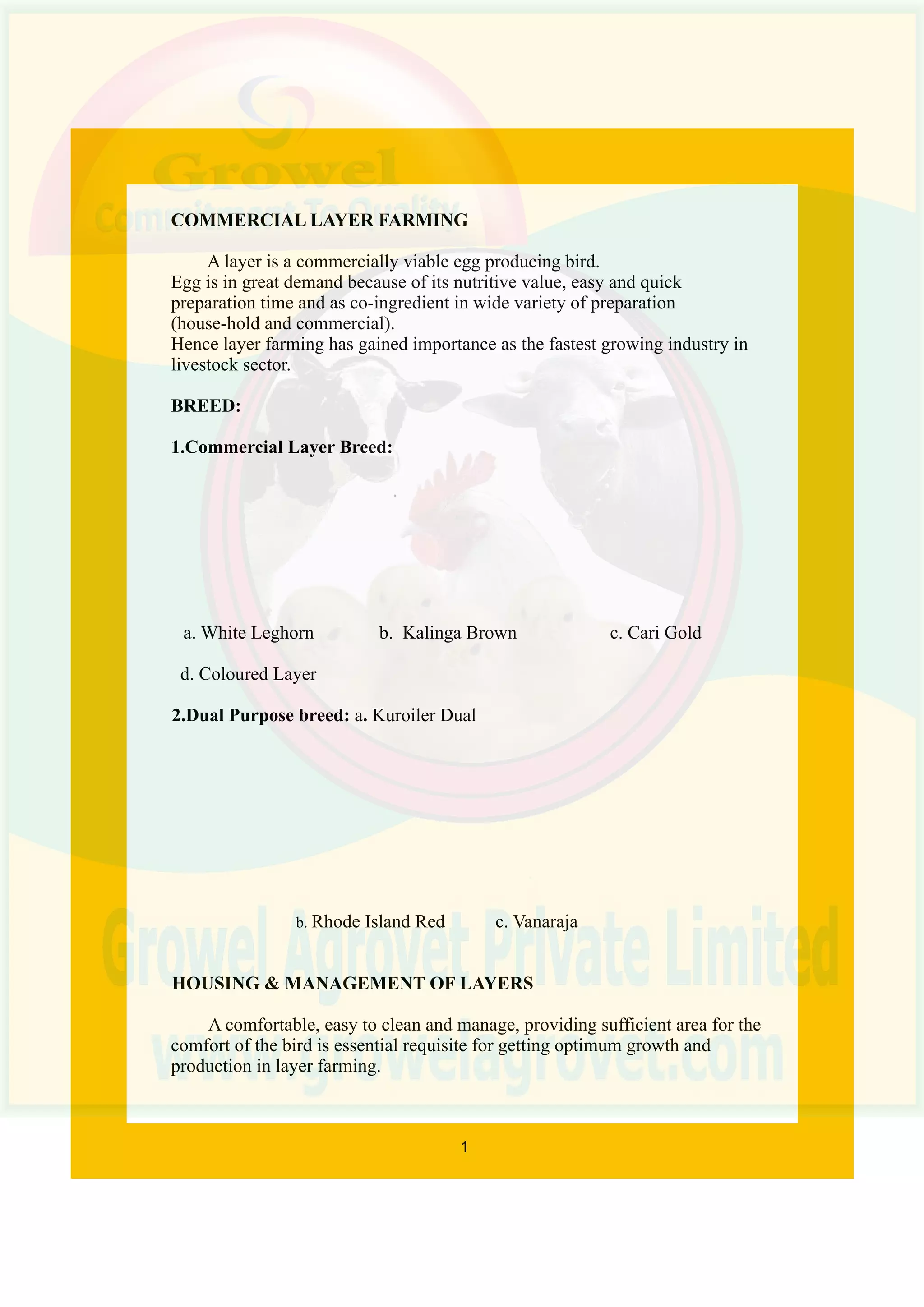 Beginners Guide to Layer Poultry Farming | PDF