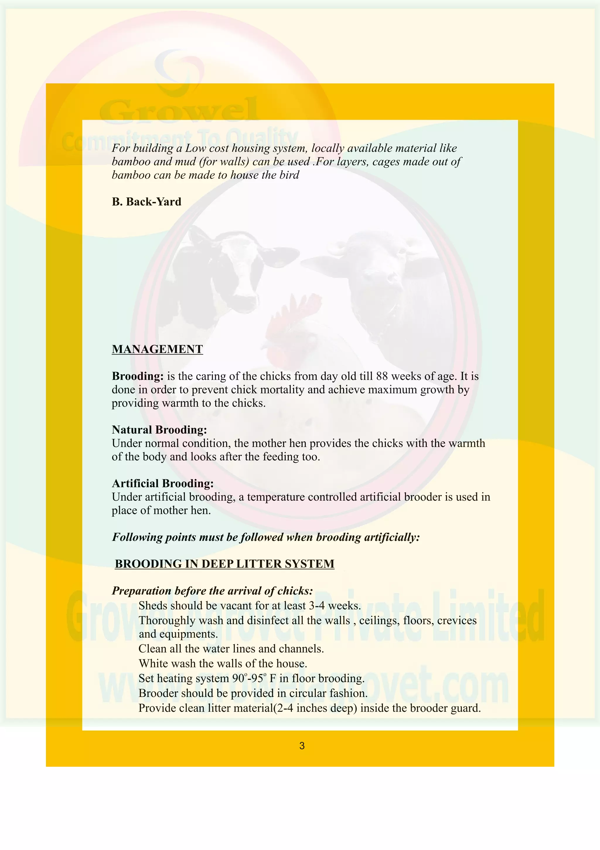 Beginners Guide to Layer Poultry Farming | PDF