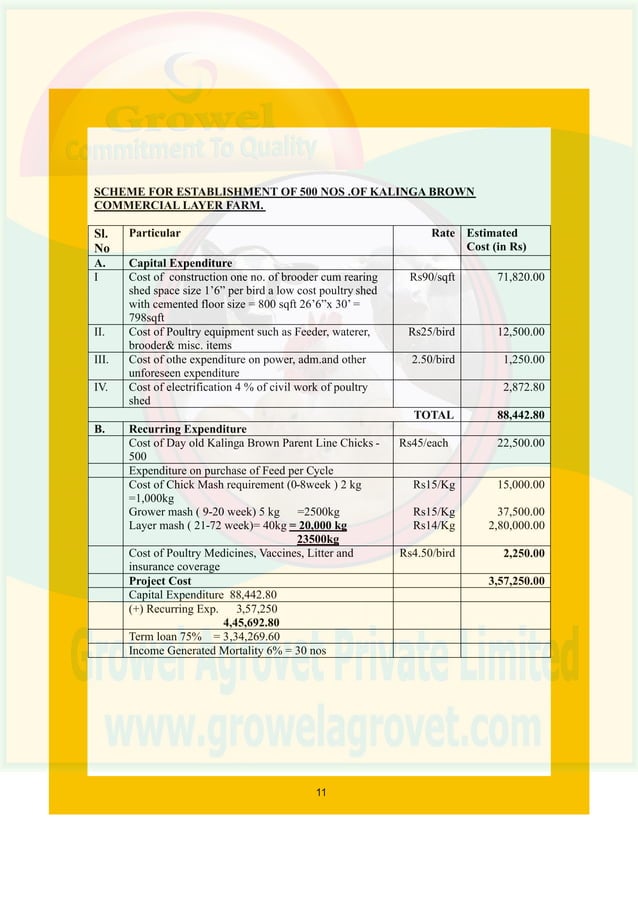 Beginners Guide to Layer Poultry Farming | PDF | Birds | Pets