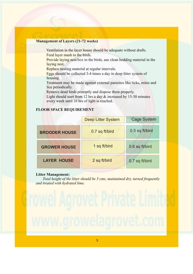 Beginners Guide to Layer Poultry Farming | PDF | Birds | Pets