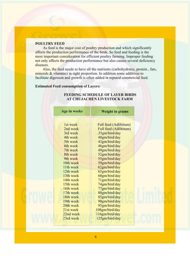Beginners Guide to Layer Poultry Farming | PDF | Birds | Pets