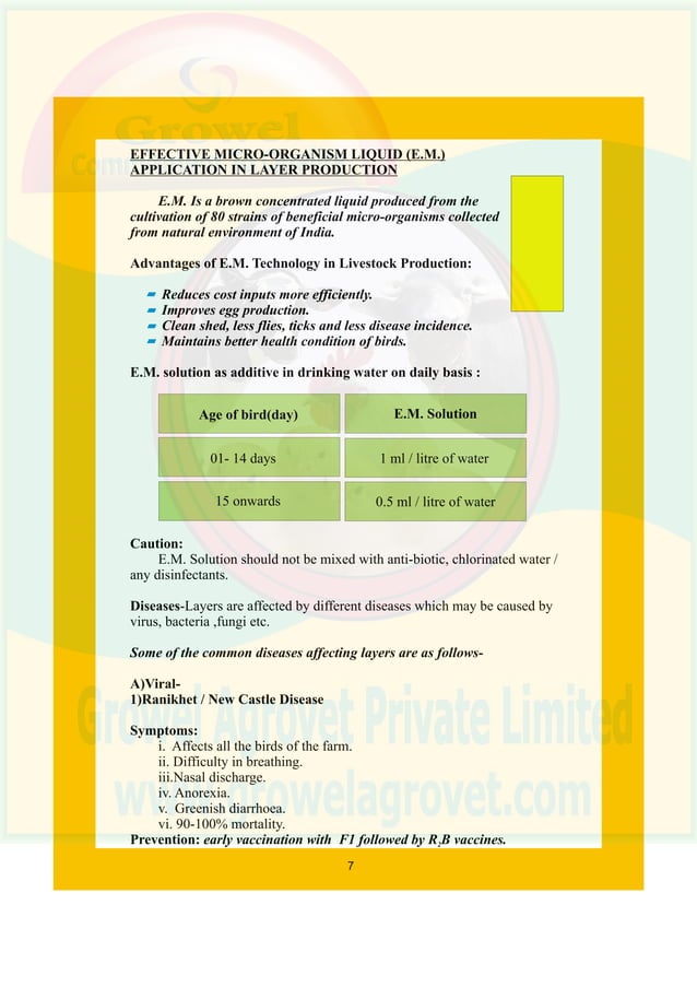 Beginners Guide to Layer Poultry Farming | PDF | Birds | Pets