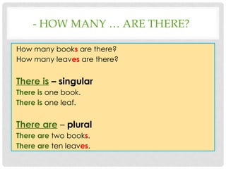 Beginner 1 lesson 3 plural nouns 10 .pptx