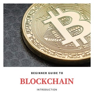 Beginner guide to blockchain | PDF