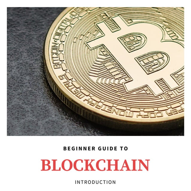 Beginner guide to blockchain | PDF