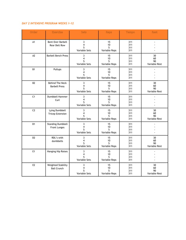 Beginner intermediate intensive_program | PDF