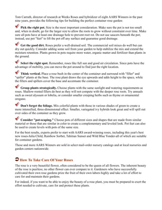 Beginner rose gardening | PDF | Gardening | Home & Garden