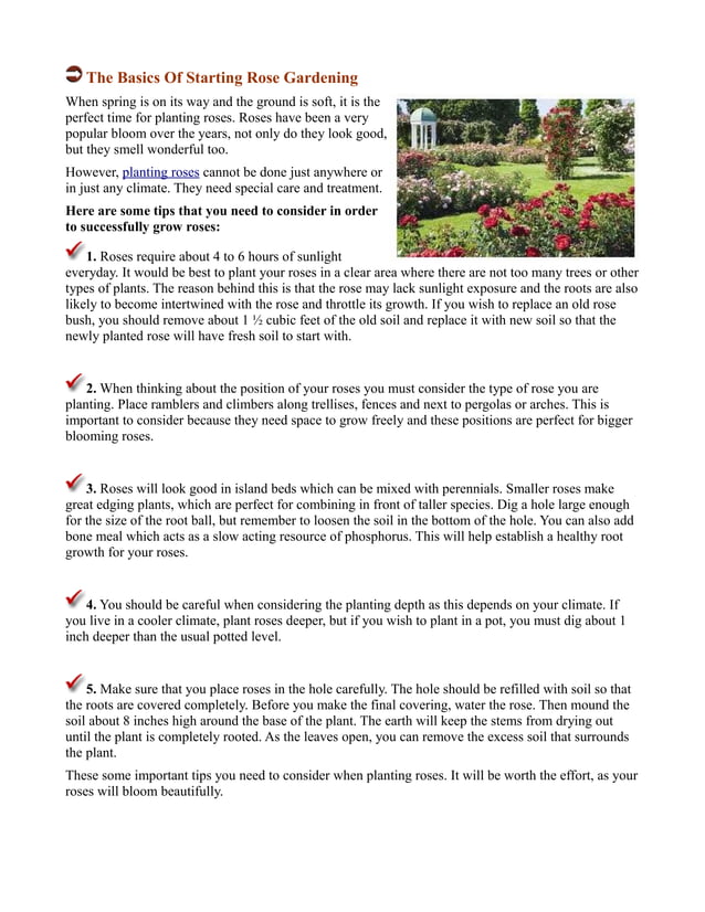 Beginner rose gardening | PDF | Gardening | Home & Garden