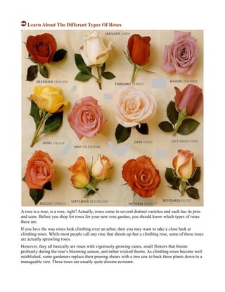 Beginner rose gardening | PDF