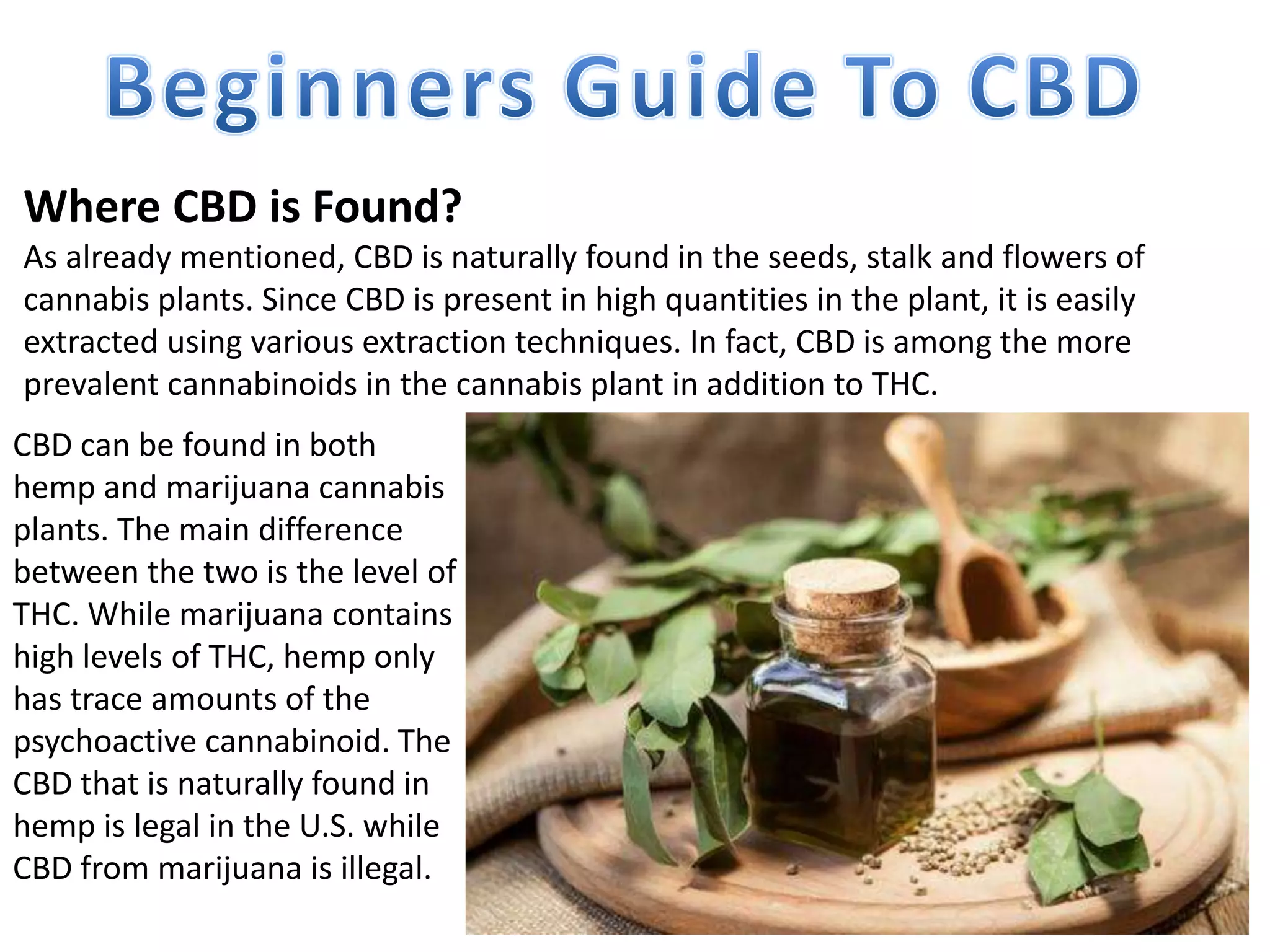 Beginners Guide To CBD | PPT