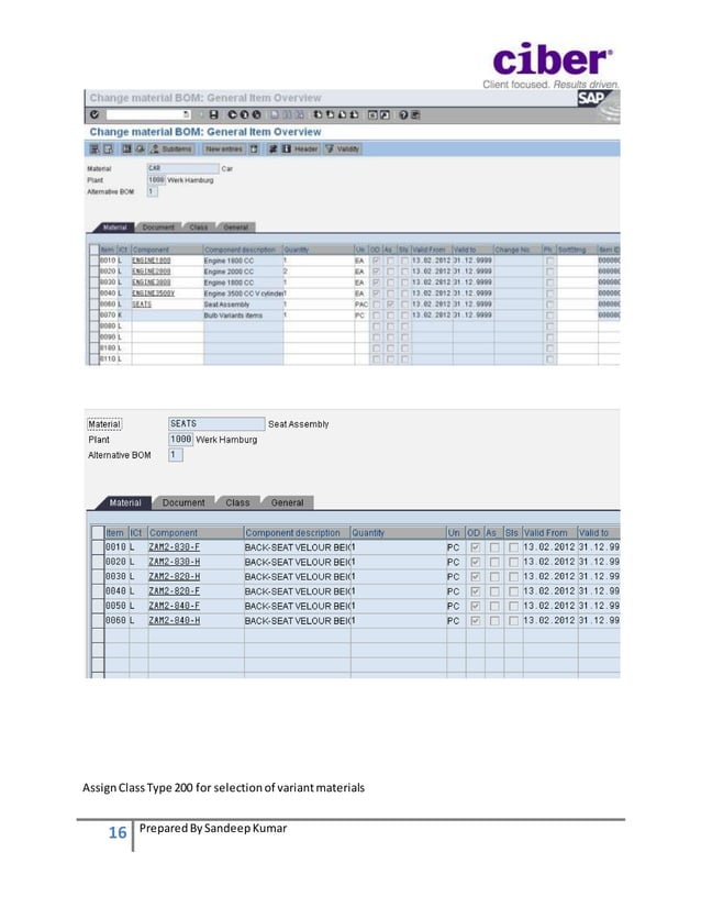 Variant Configuration in SAP PP: Beginner's Guide | DOCX