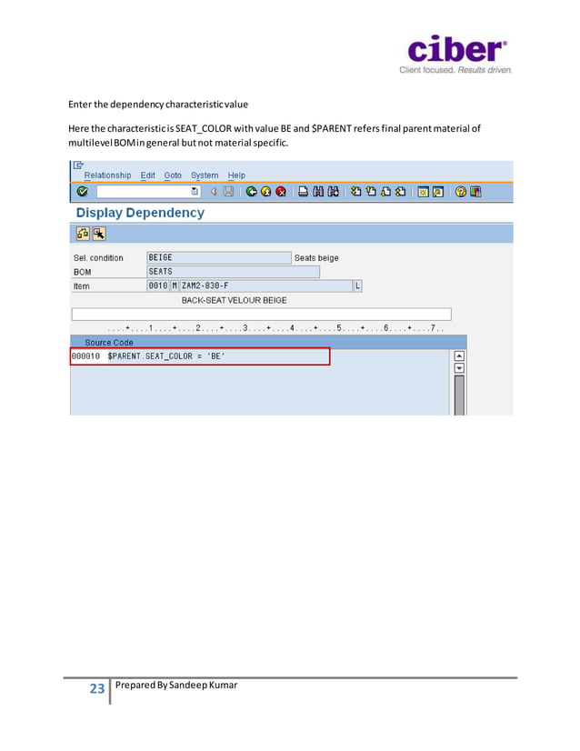 Variant Configuration in SAP PP: Beginner's Guide | DOCX