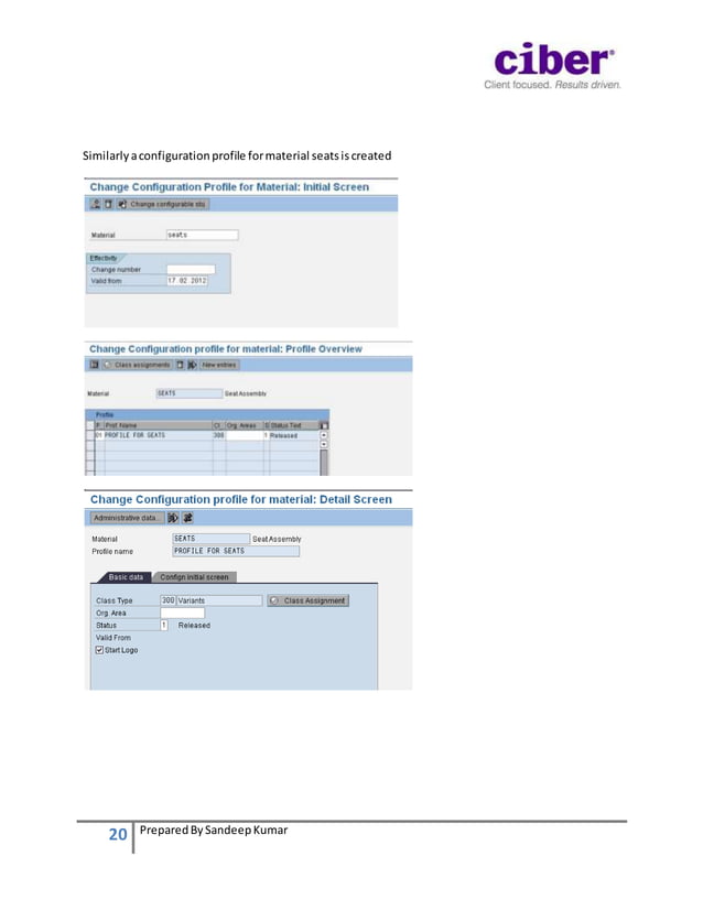 Variant Configuration in SAP PP: Beginner's Guide | PDF