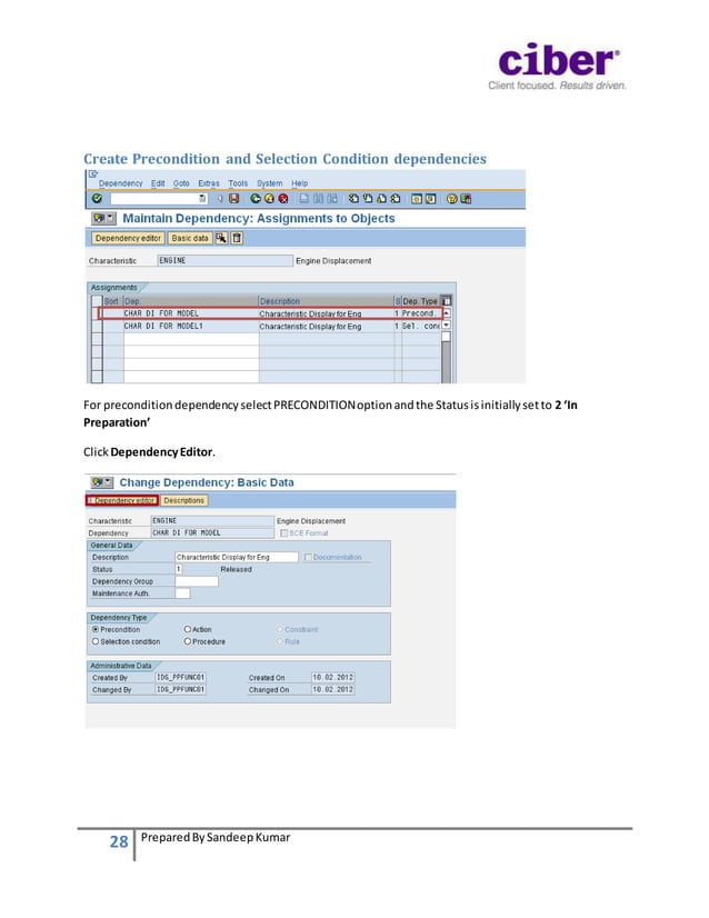 Variant Configuration in SAP PP: Beginner's Guide | PDF