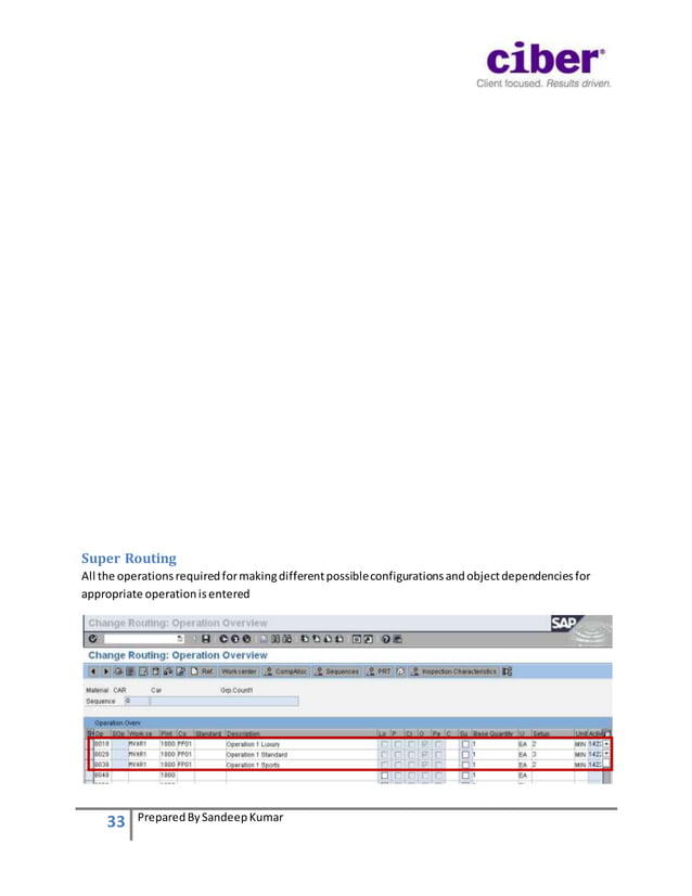 Variant Configuration in SAP PP: Beginner's Guide | PDF